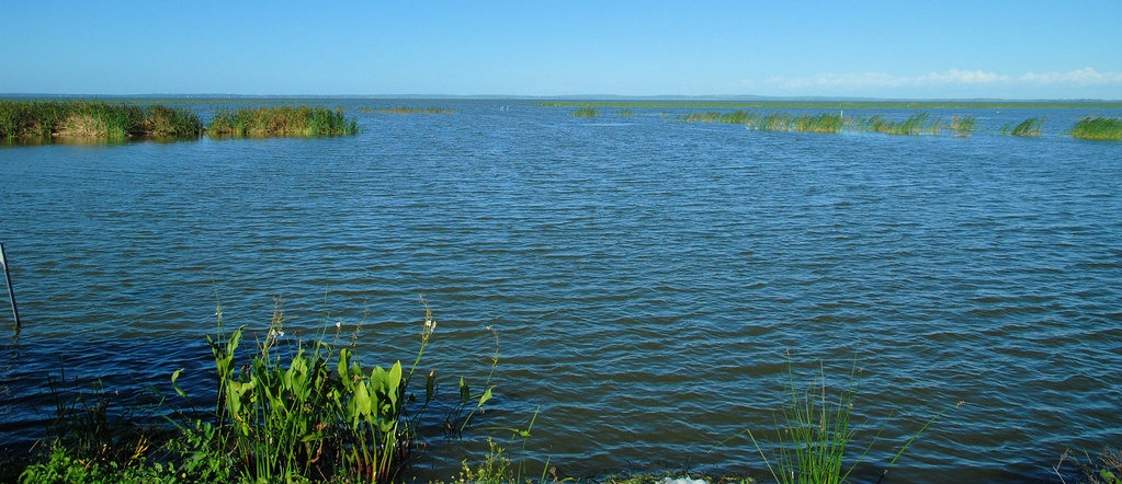 July 2020 recognized as Lakes Appreciation Month; Lake Apopka's north ...