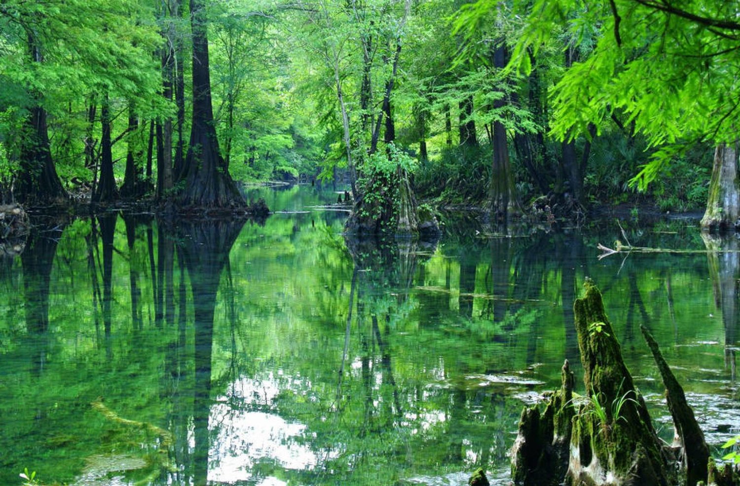 Septic Tanks: The Wekiva River Basin Management Action Plan (BMAP ...