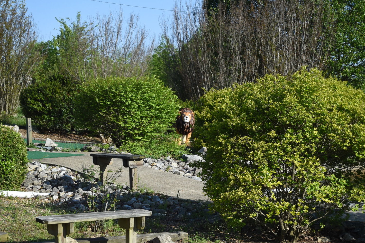 Little T's bringing mini golf back to MH | Baxter Bulletin