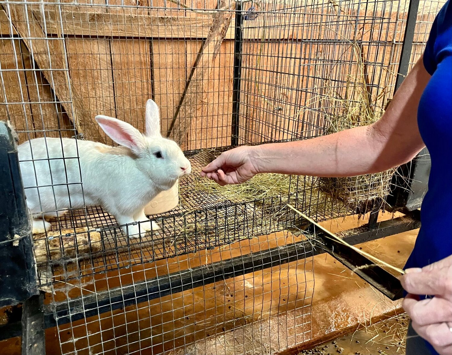 Farm Family celebrates 75 years | Baxter Bulletin