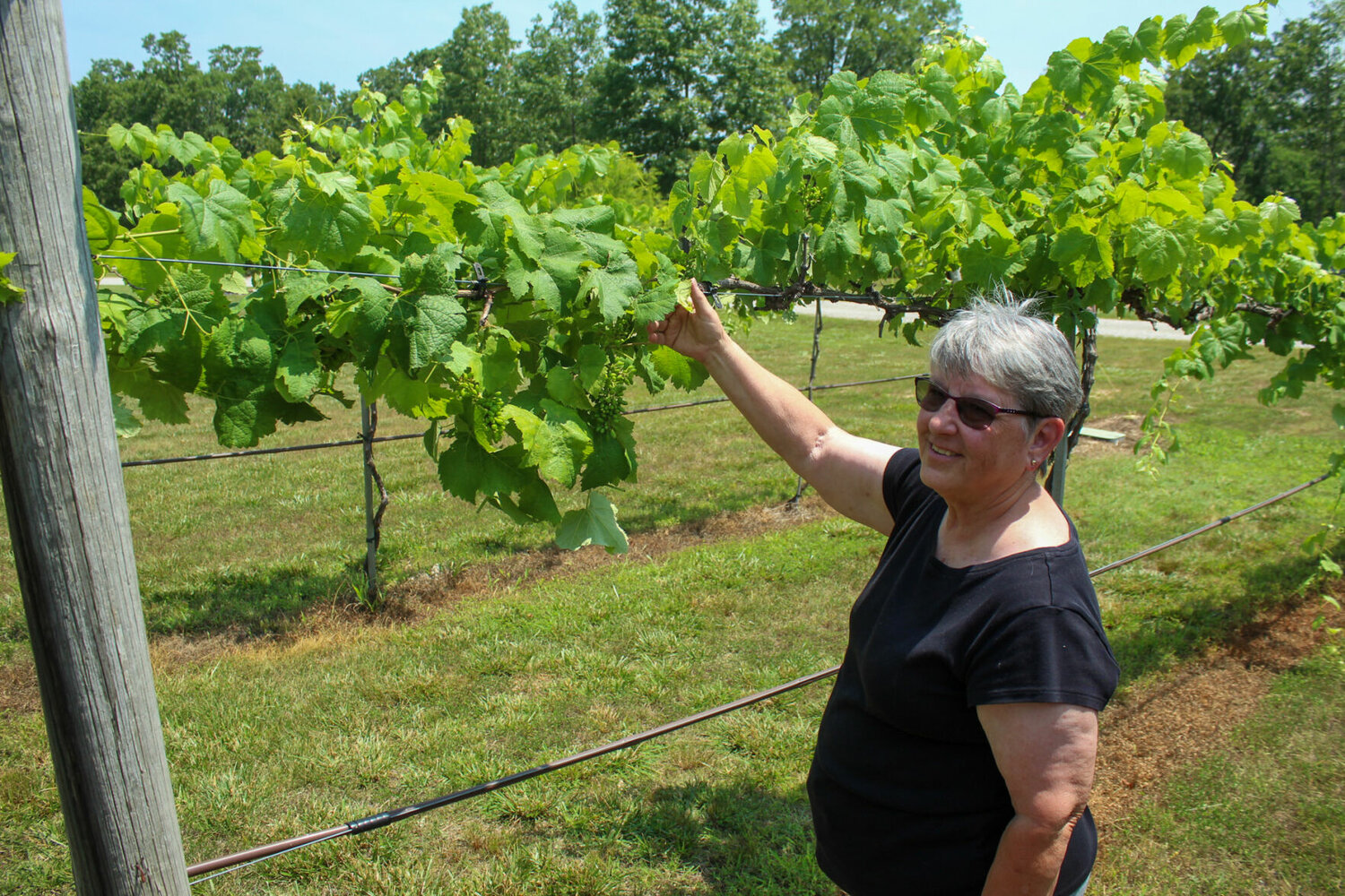 Grape gurus picked for 2023 Farm Family | Baxter Bulletin