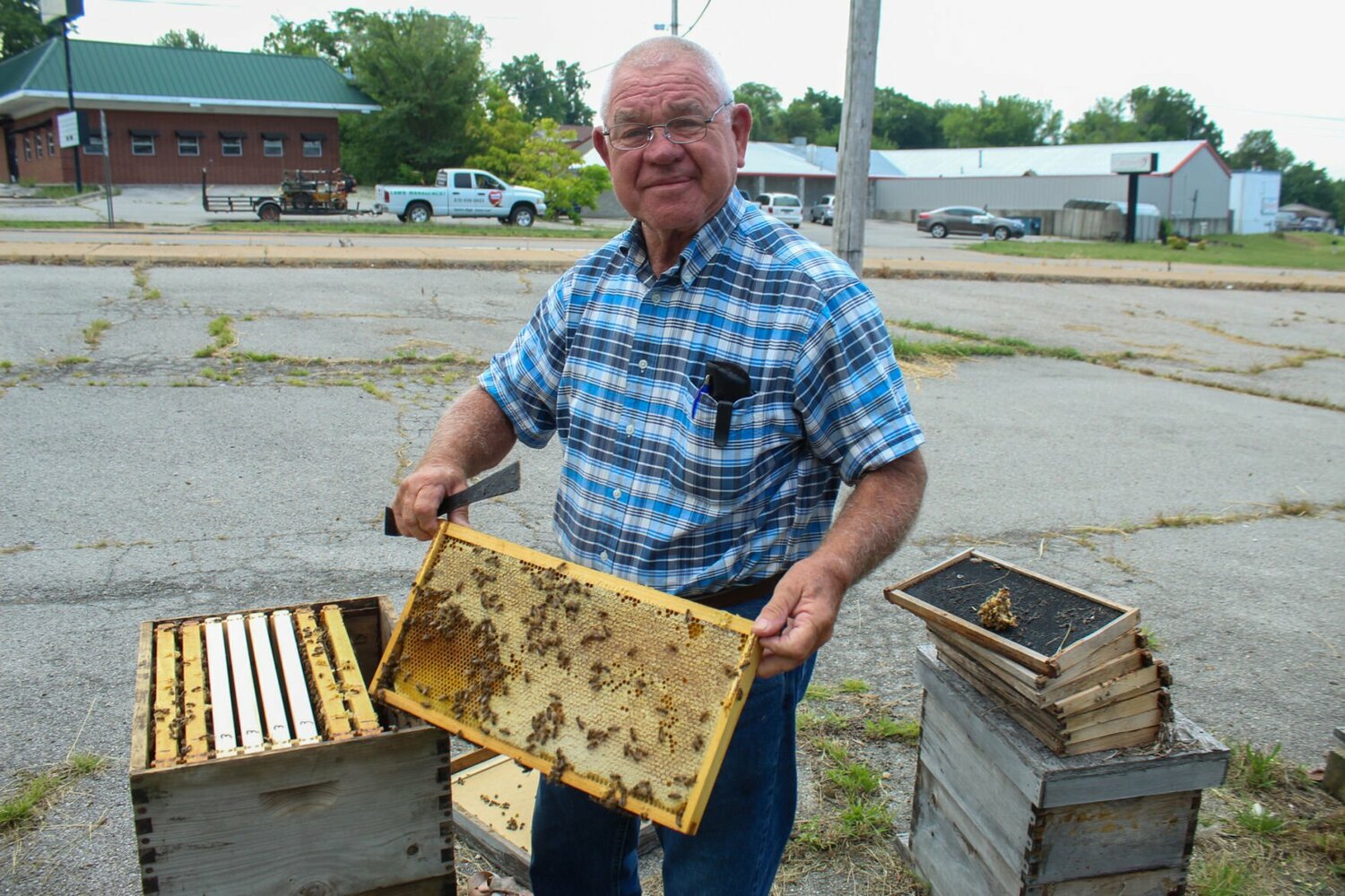 To bee or not to bee: | Baxter Bulletin
