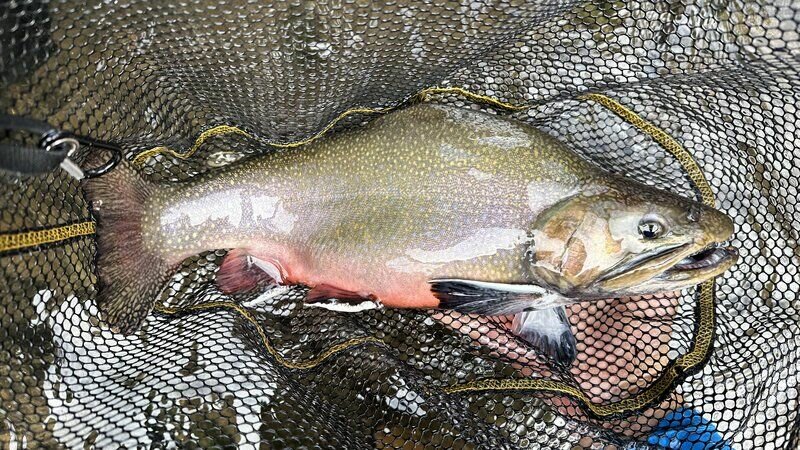 Memorable catch rivals record-book brookie | Baxter Bulletin