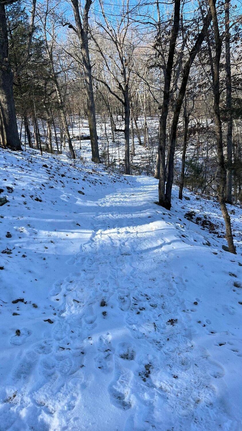 Runners brave cold for David's Trail Endurance Run | Baxter Bulletin