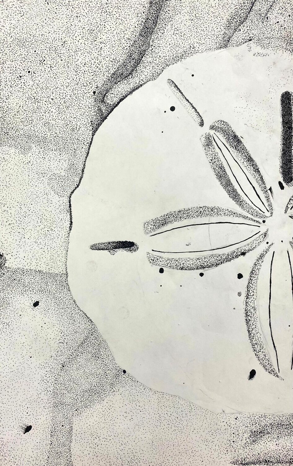 Drawing by Sophia Cook | Baxter Bulletin