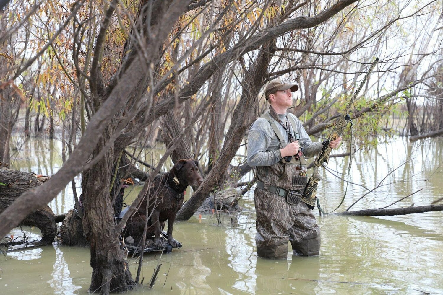 Permit-based waterfowl hunt drawings available at AGFC.com | Baxter ...
