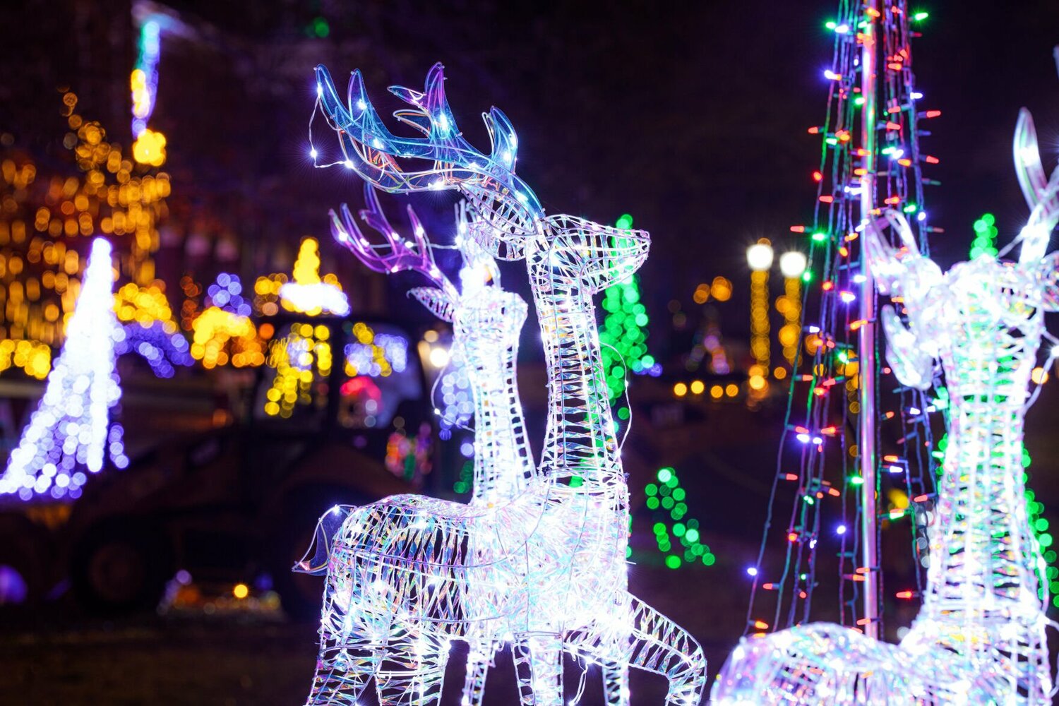 Coulter Celebration of Lights lighting ceremony is Sunday | Baxter Bulletin
