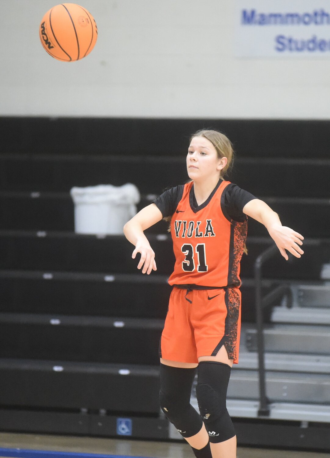 Tournament roundup: Viola girls win consolation bracket at Harrison ...