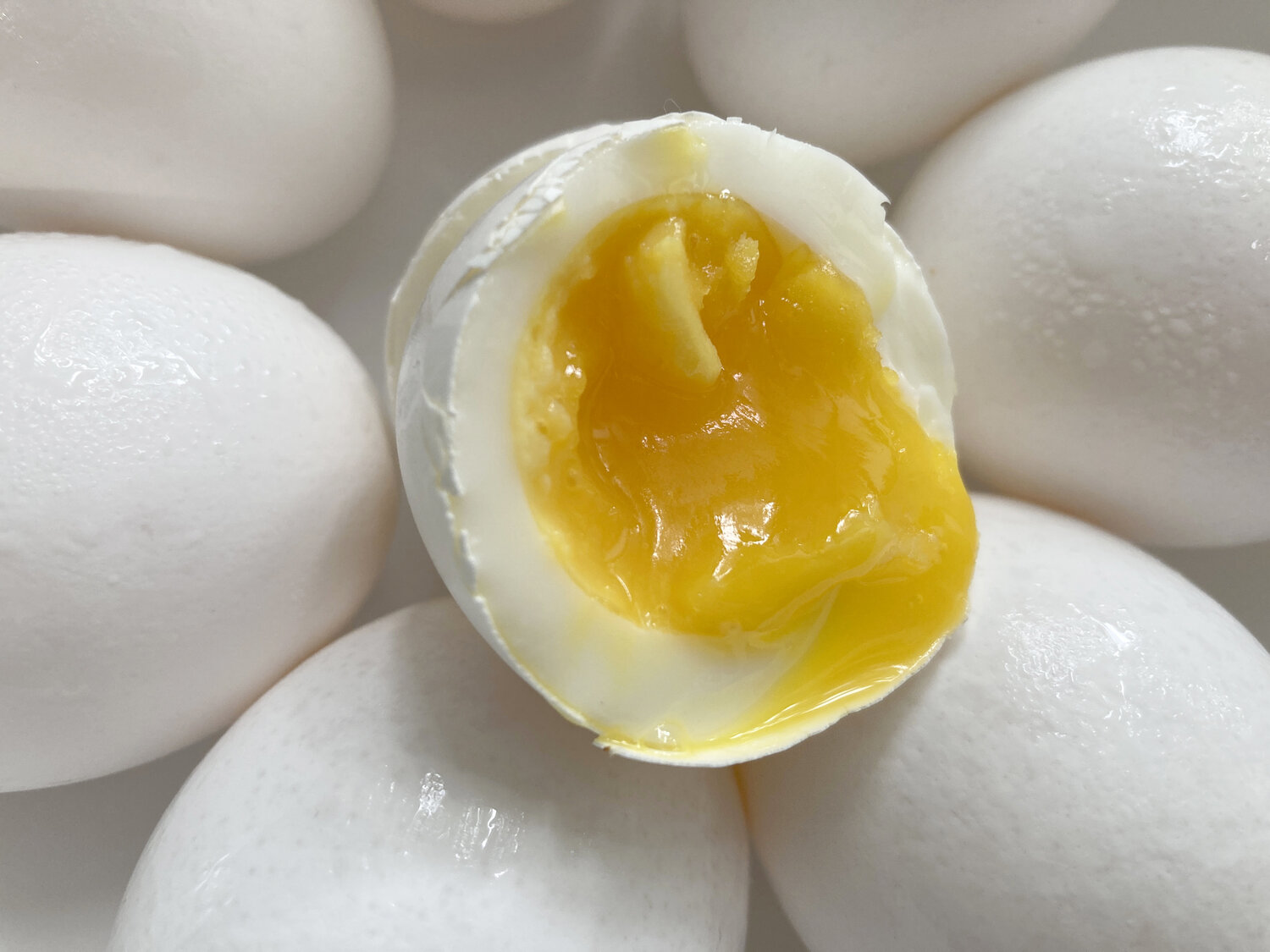 The incredible, edible egg | Baxter Bulletin