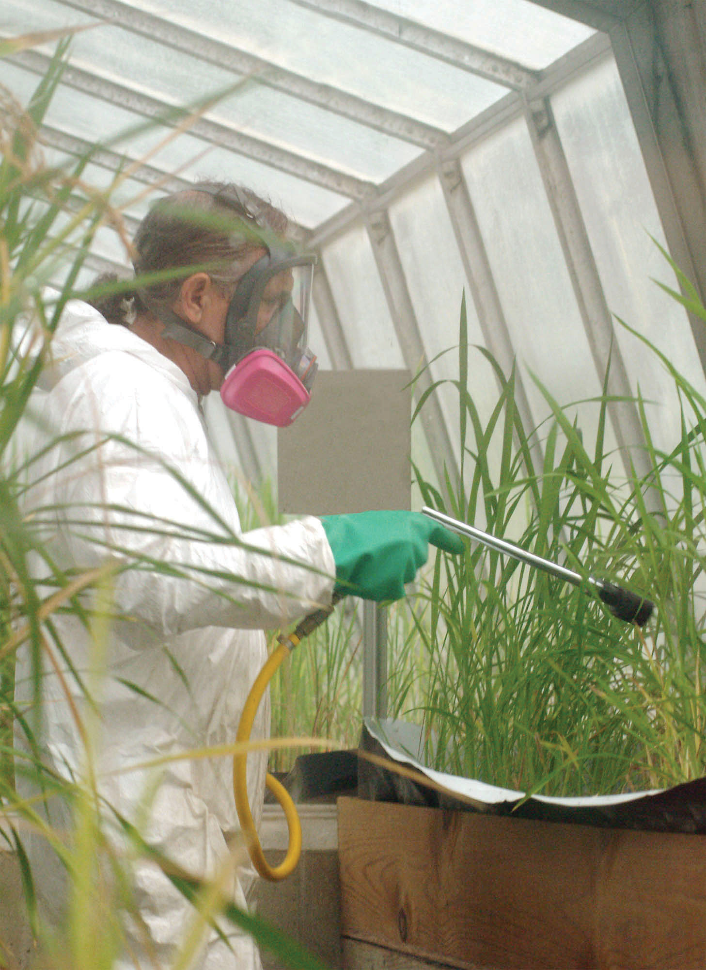 Protect Yourself – Pesticide Safety Basics | Clay Today