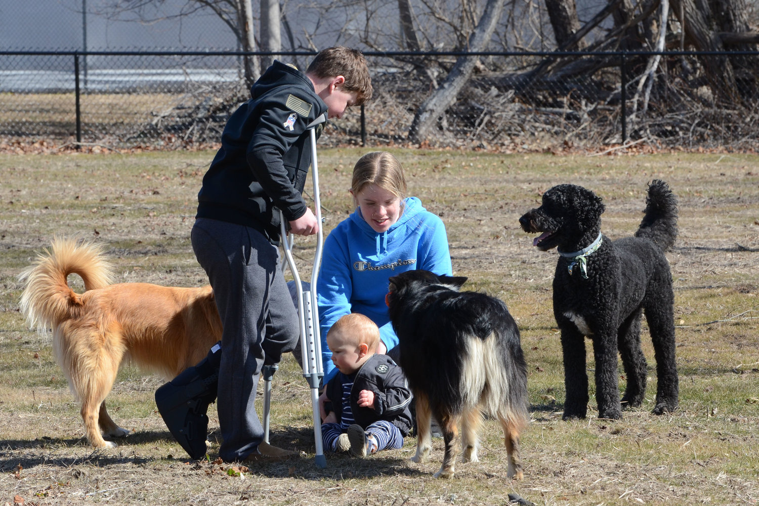 Warren Dog Park ready for grand opening | EastBayRI.com - News, Opinion ...
